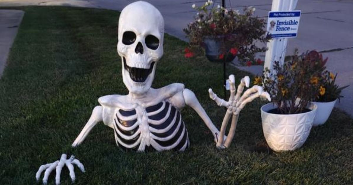 Large Groundbreaker Skeleton Only $79.99 on Walgreens.com - Today Only ...