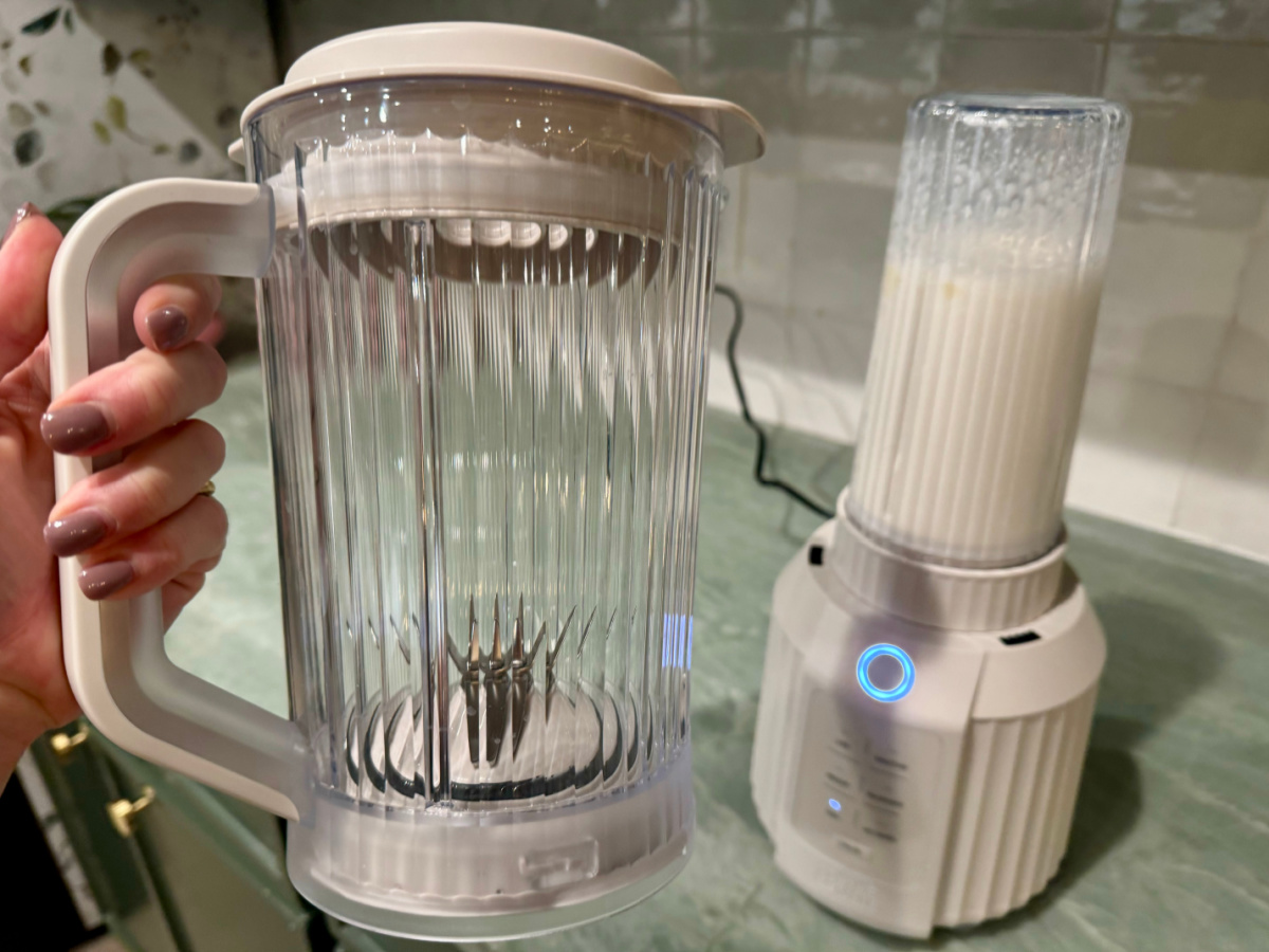 This Thyme & Table Blender Looks Like $150, But Costs Half!