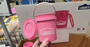 The Viral Mini Lowe's Bucket Now Comes in PINK (& It's Food-Safe ...