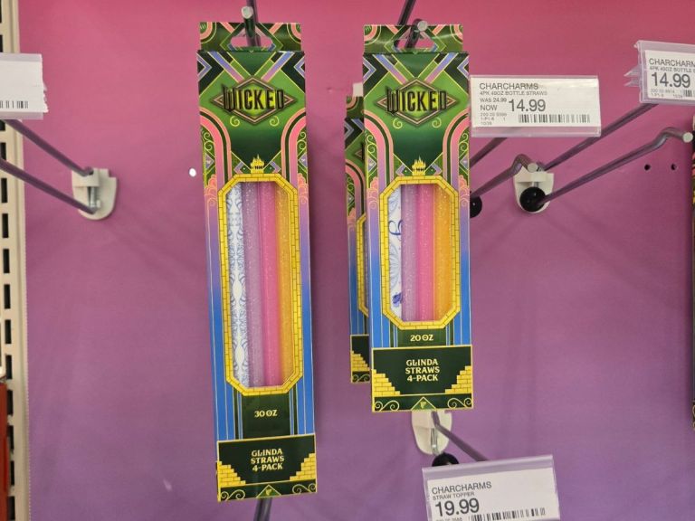 Don’t Miss These Stanley x Wicked Tumblers & Accessories at Target ...