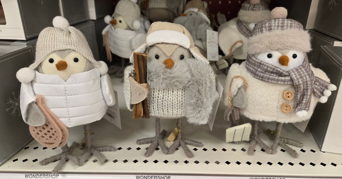NEW Target Christmas Birds Only $5 | Hip2Save