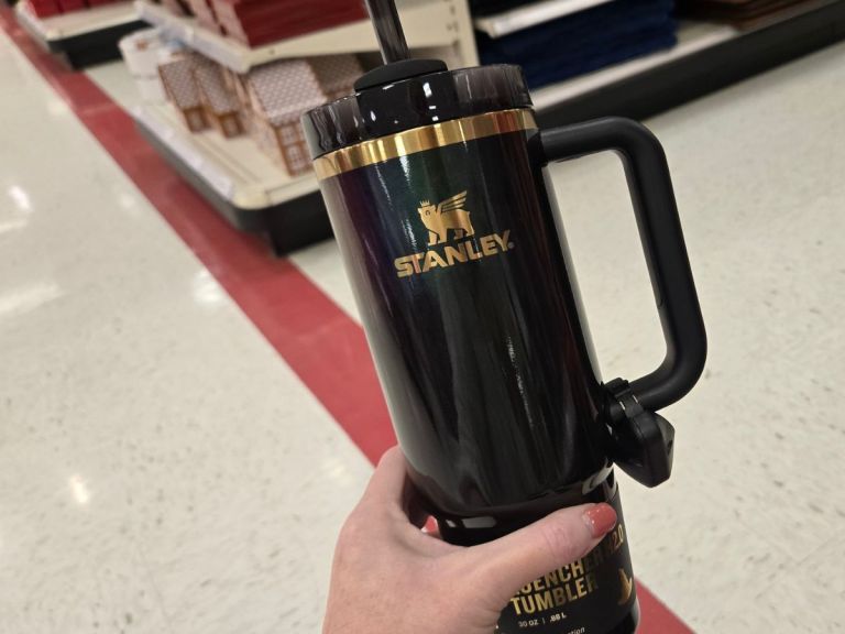 Don’t Miss These Stanley x Wicked Tumblers & Accessories at Target ...