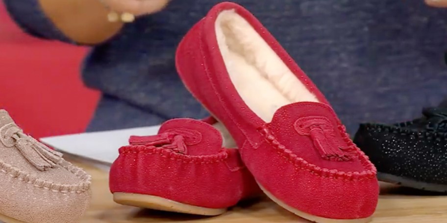 Bearpaw Moccasins from $34.99 Shipped (Reg. $70) - Today Only! | Hip2Save