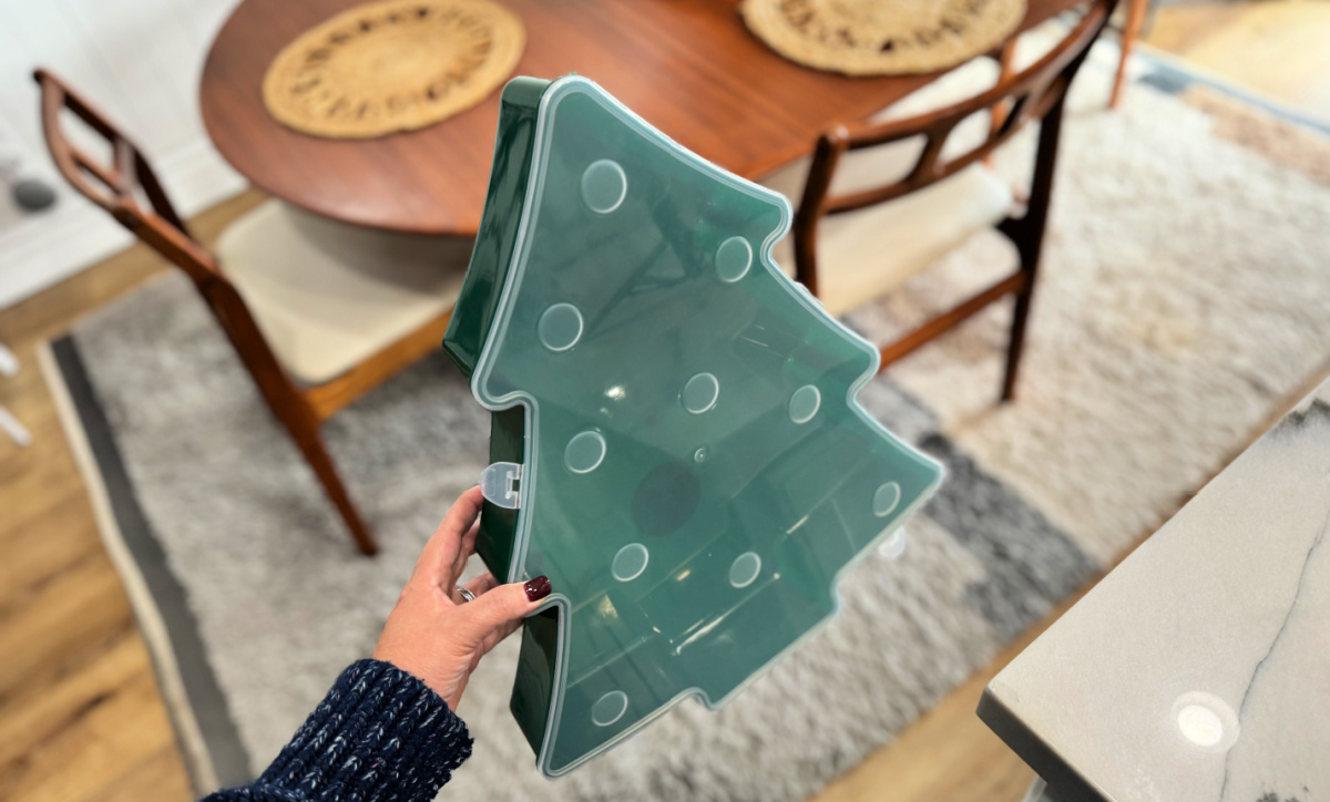 This Christmas Tree Container is Just $5.88!