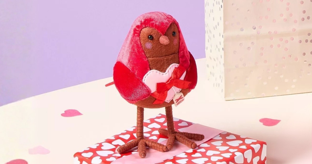 NEW Target Valentine's Day Birds Have Landed | Hip2Save