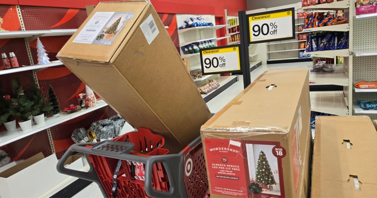 RUN! 90% Off Christmas Clearance Spotted at Target | Hip2Save
