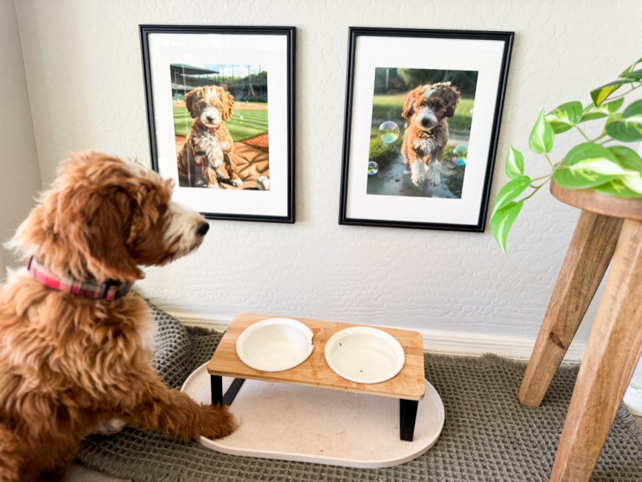 Create Custom Pet Digital Art for Just $3.99! | Hip2Save