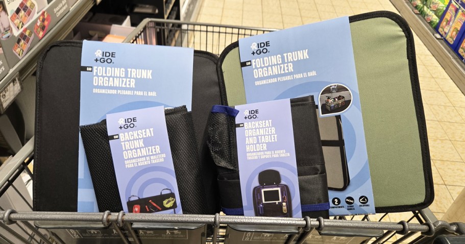 New at ALDI Drops: Spring Mini Gnomes, Planters, Kids Activities ...