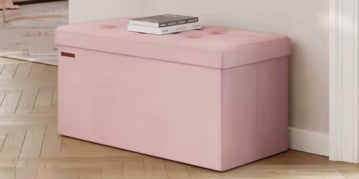 Storage Ottoman Only $15.87 Shipped (Reg. $83) | Hip2Save