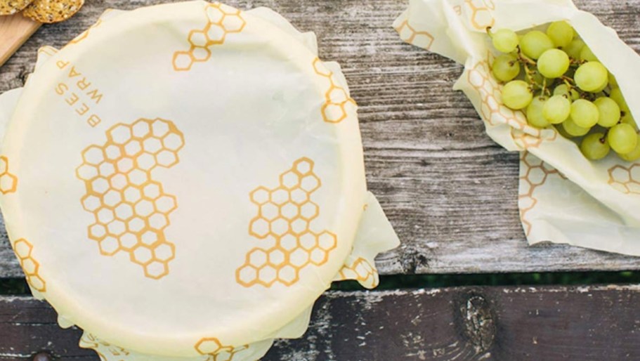 The Best Weekly Deals on Plastic Free Products! | Hip2Save
